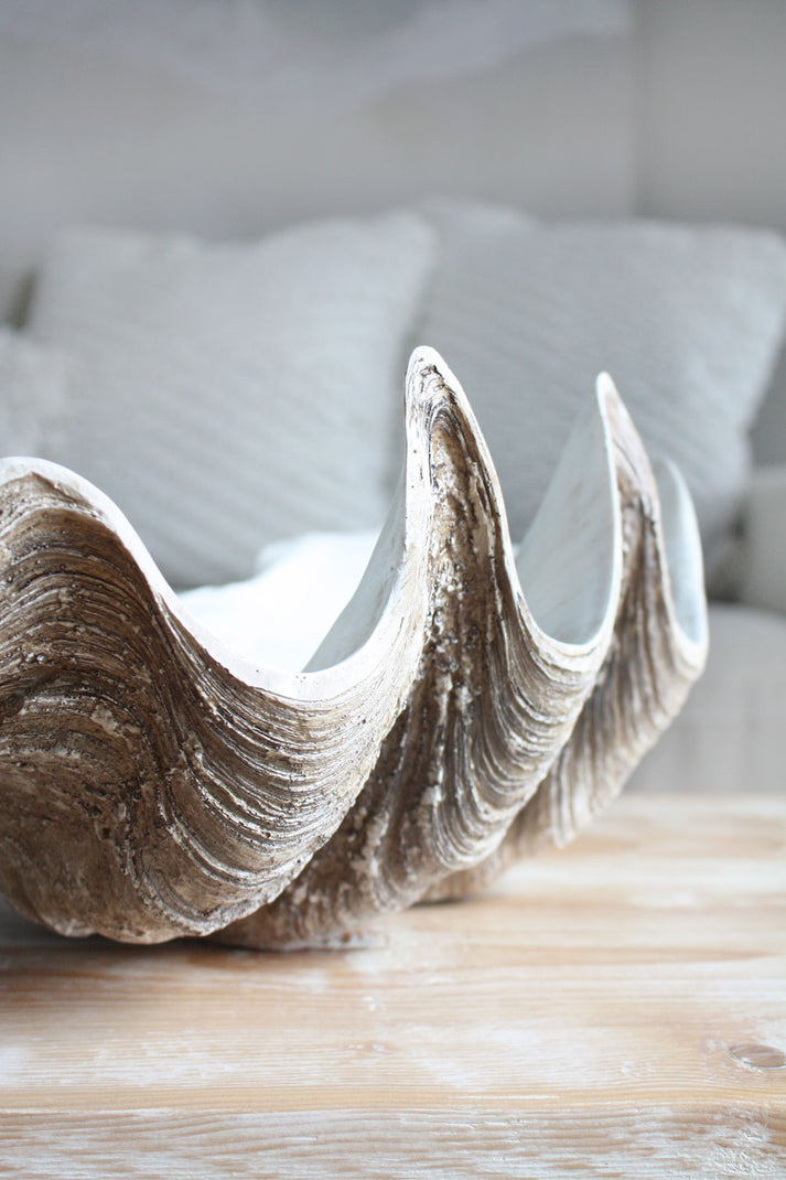 Clam Shell Natural Medium 52cm Wide - Resin – Elomou Interiors